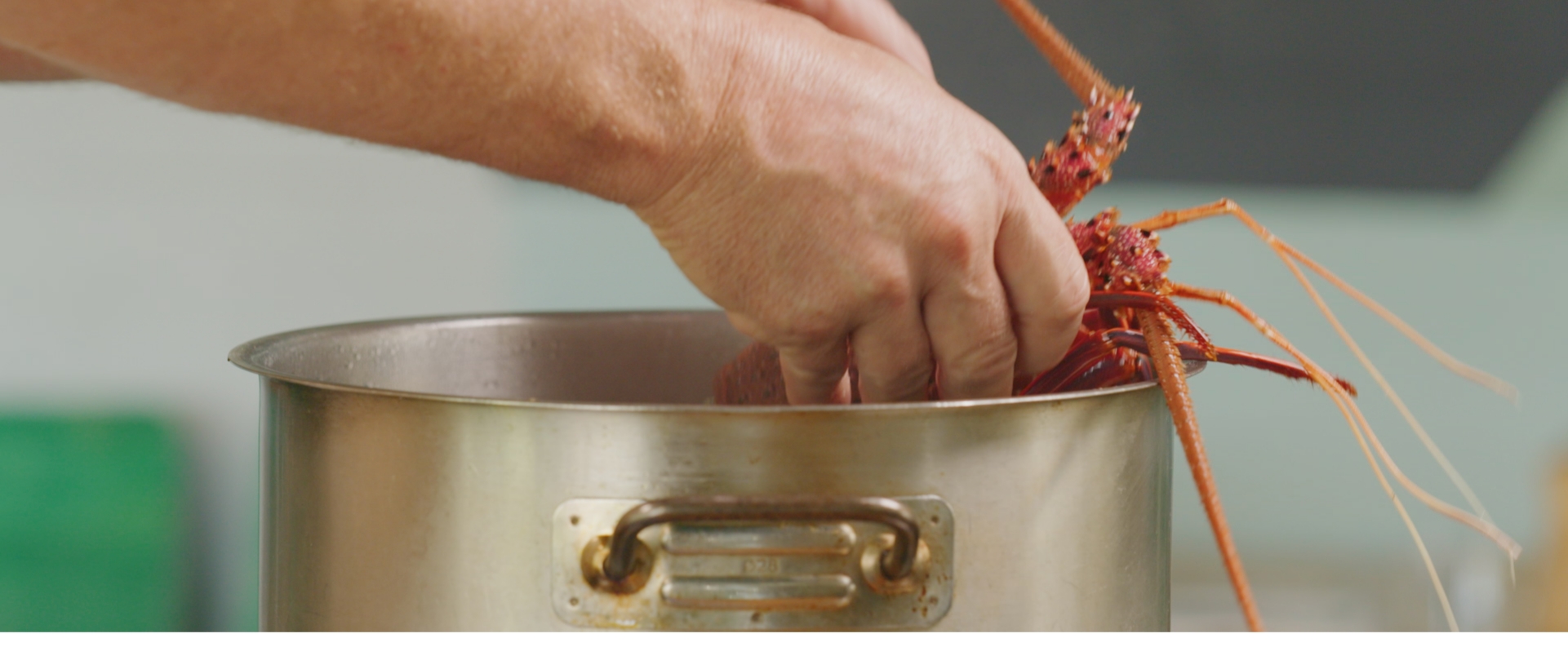 How To Boil Lobster Cray And Lobster Cooking Time Chart